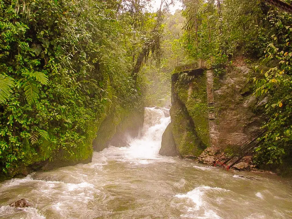 Things to do in Mindo, Ecuador