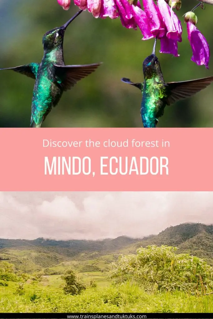 Things to do in Mindo, Ecuador