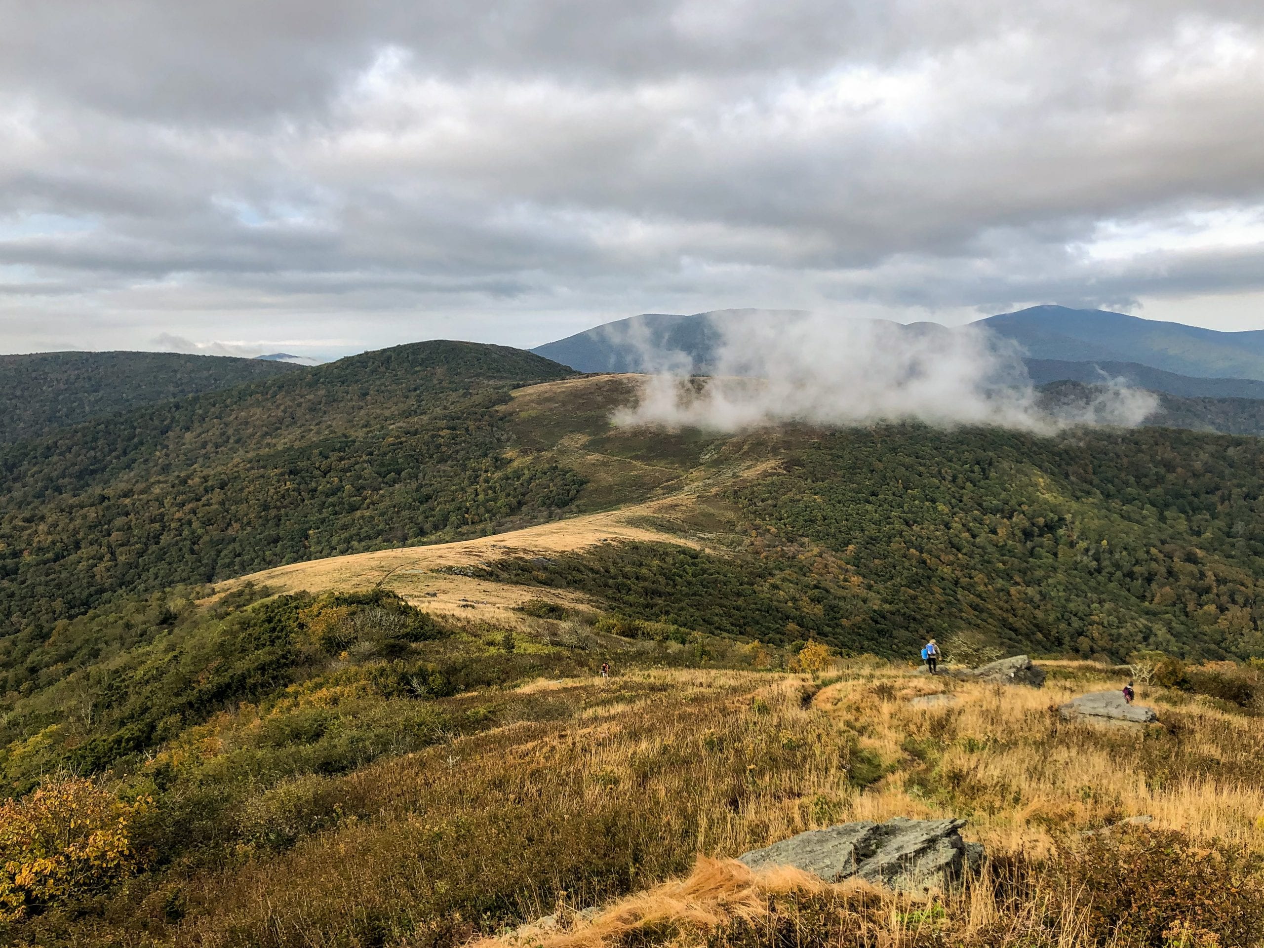 Best time to visit Asheville NC: Fall colors, wildflowers & snowy hikes