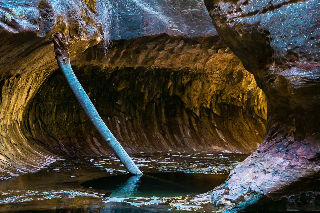 Hiking the Subway in Zion National Park: The Bottom-Up Route
