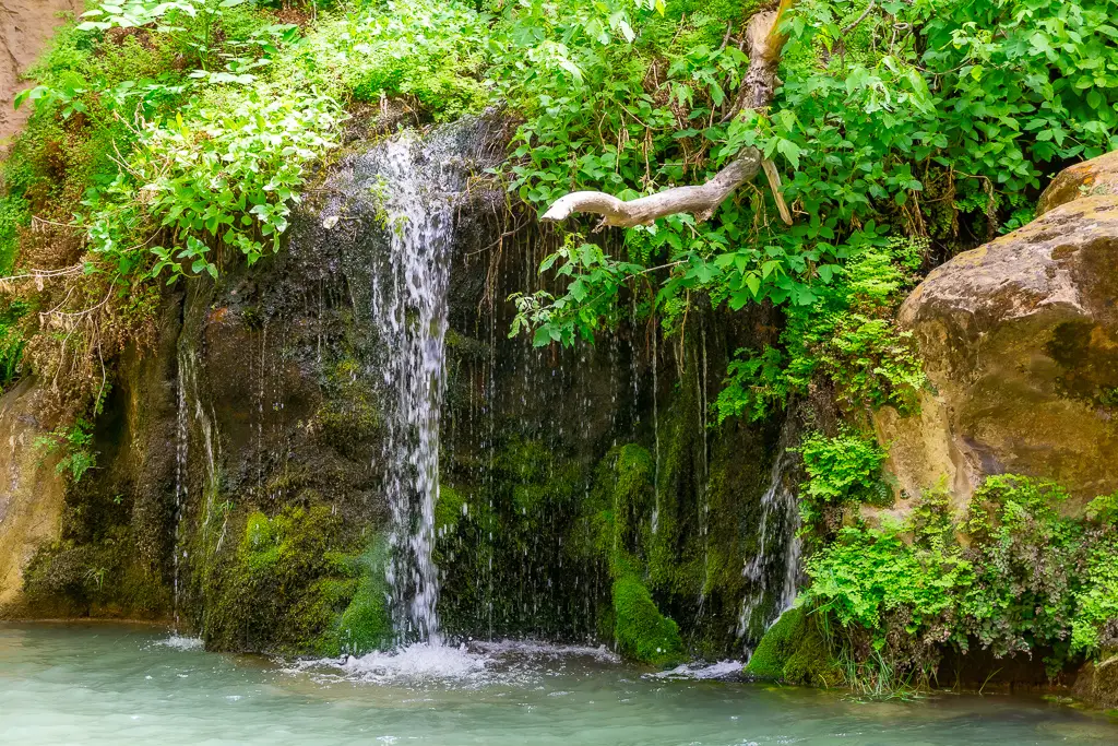 Hiking the Narrows in Zion National Park: Plan a bottom-up Narrows hike