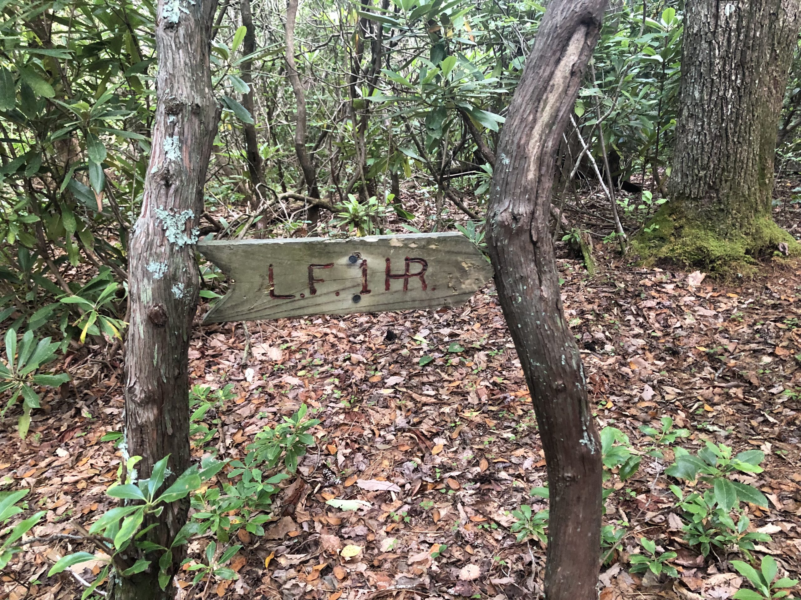Linville Gorge Grand Loop: The hardest hike in NC