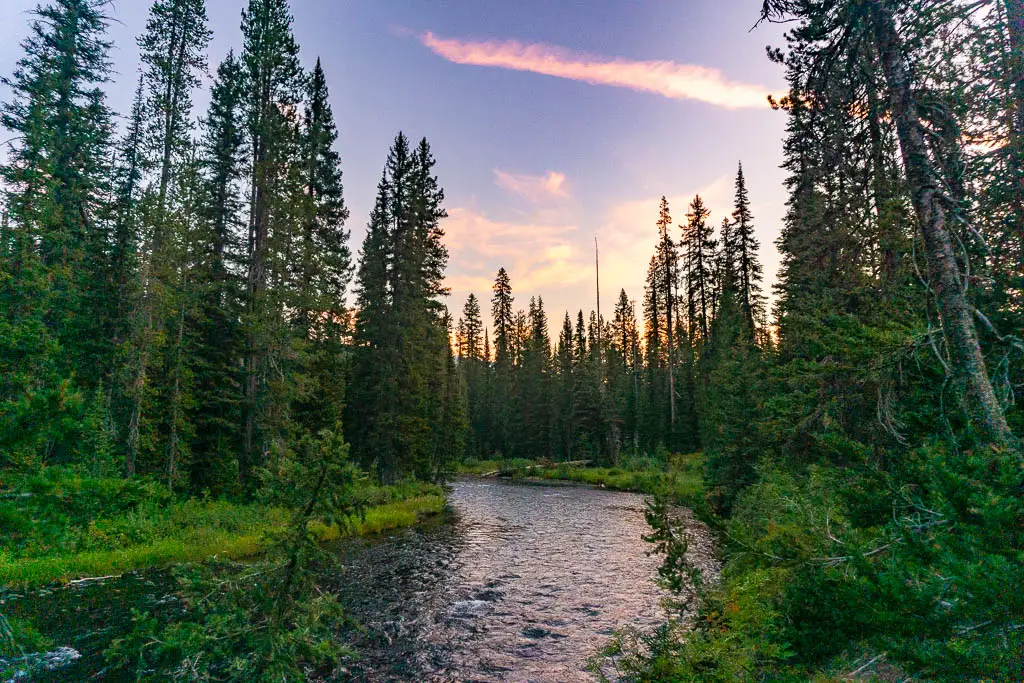 Backpacking in Yellowstone National Park: The ULTIMATE Guide