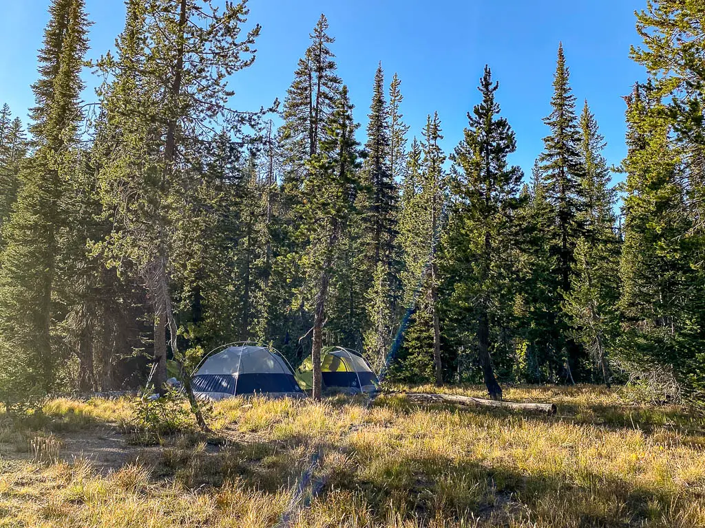 Backpacking in Yellowstone National Park: The ULTIMATE Guide