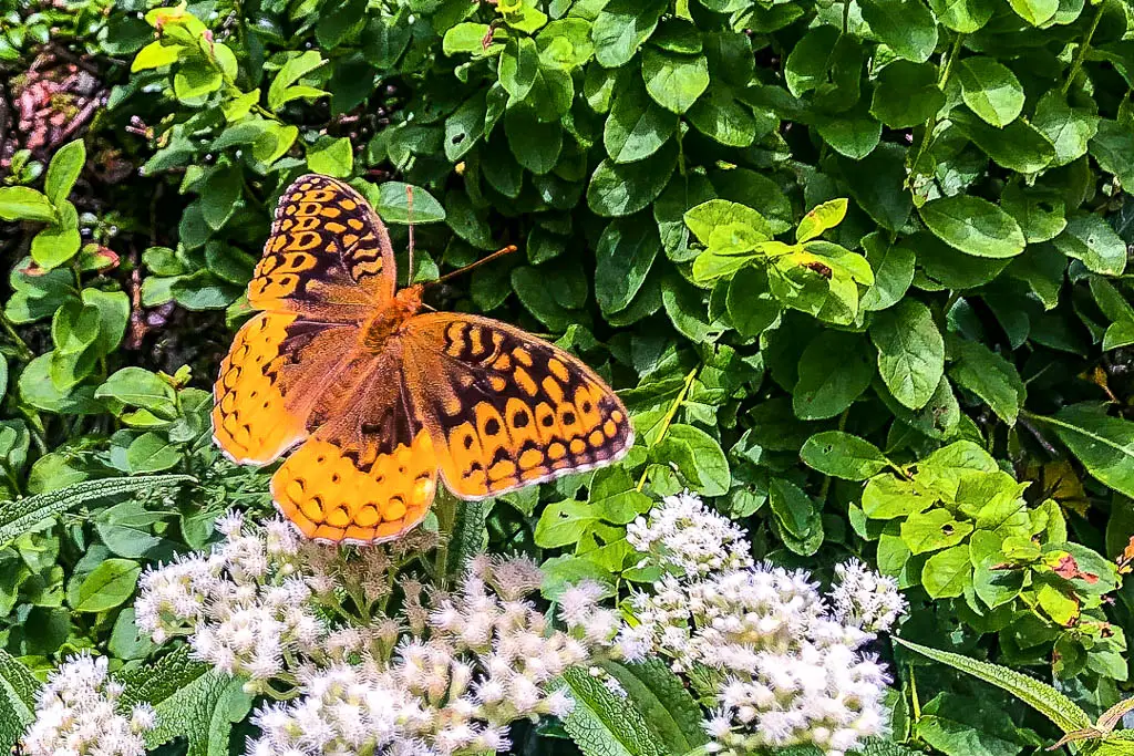How to backpack the Standing Indian Loop on the Appalachian Trail